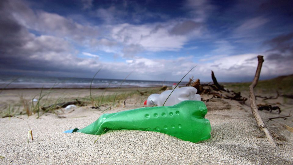 Nature is not just for environmentalists - spiked
